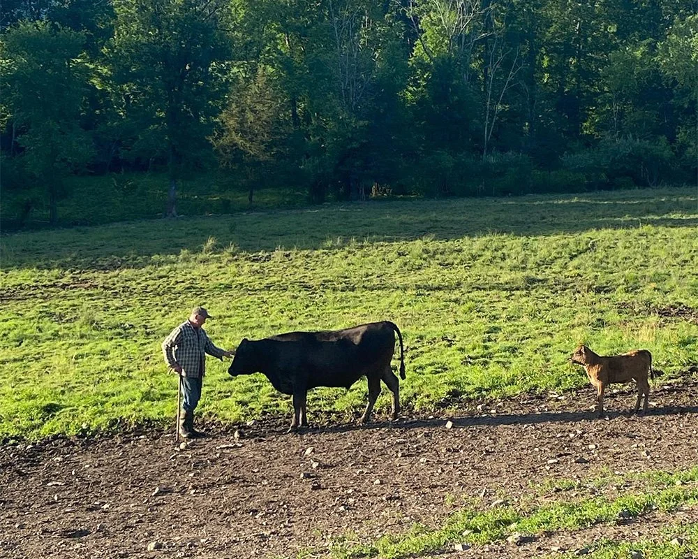 Catskill Wagyu — Anne Saxelby Legacy Fund