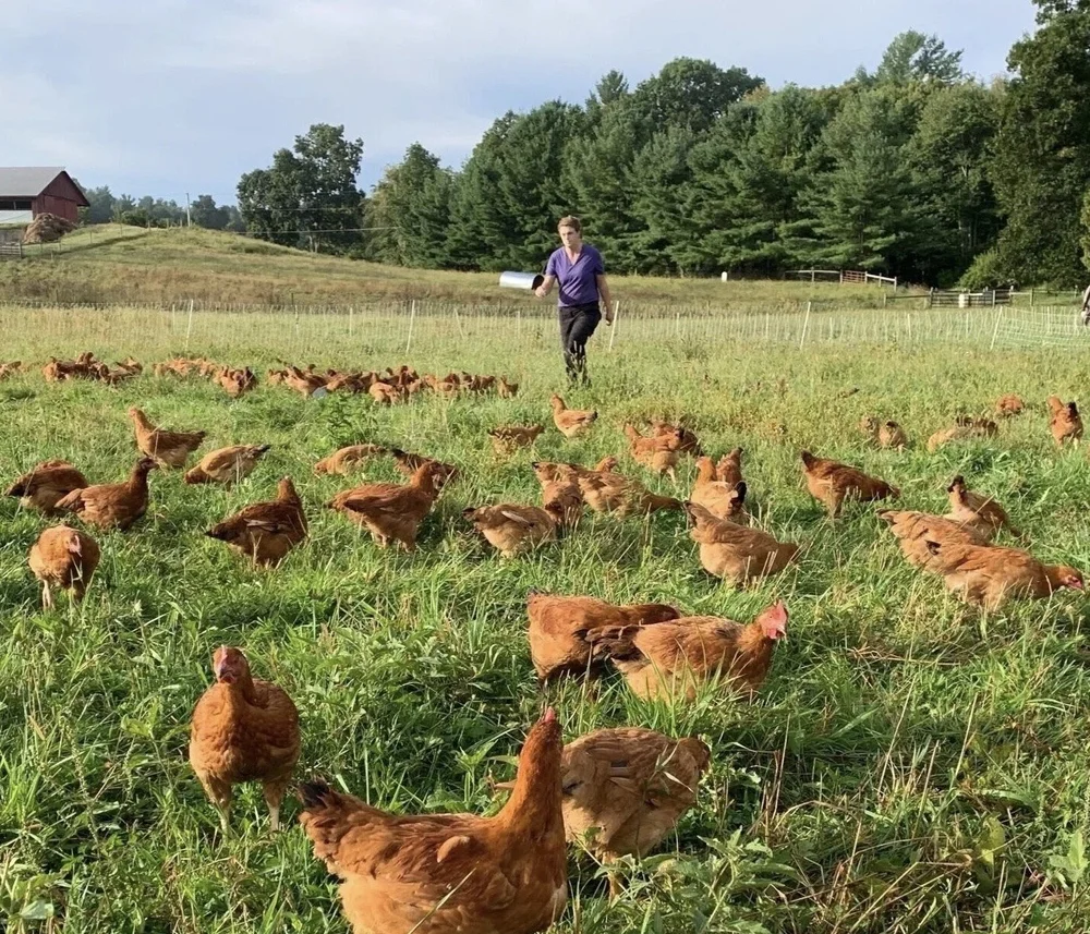Kinderhook Farm — Anne Saxelby Legacy Fund