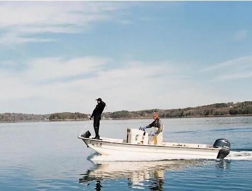Glidden Point Oyster Farm — Anne Saxelby Legacy Fund