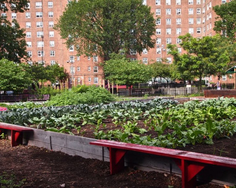 Red Hook Farms — Anne Saxelby Legacy Fund