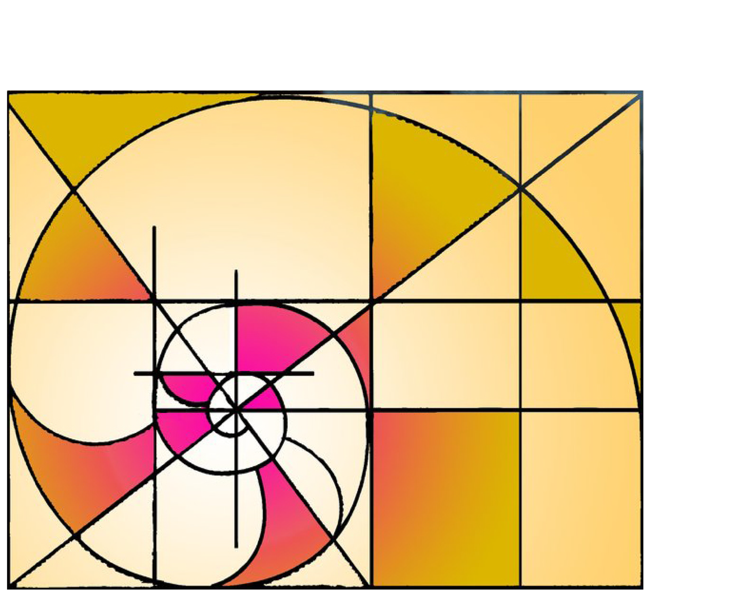 Golden Spiral Design | Architecture and Interior Design