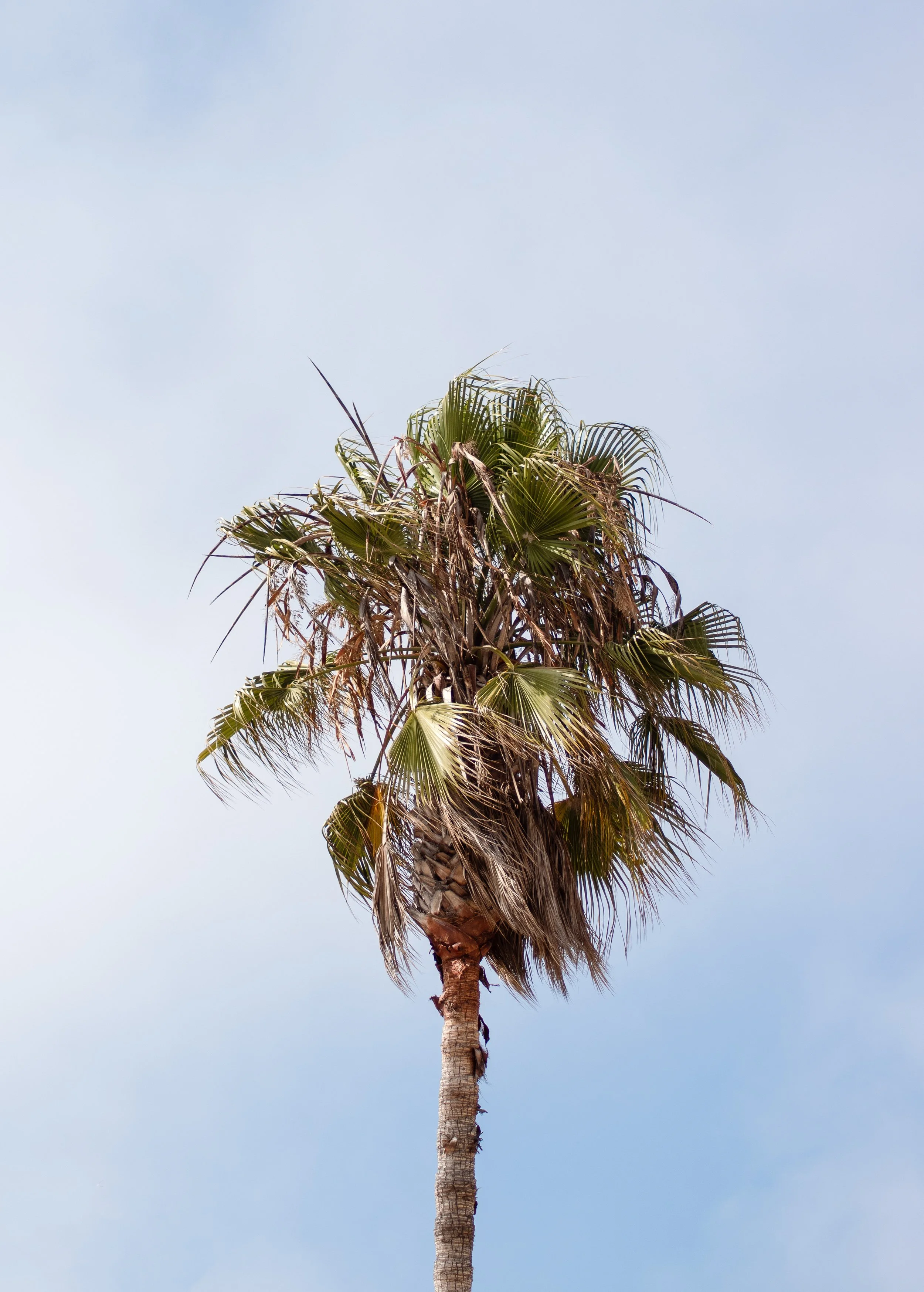 Portfolio | Explore My Work — Emma McCabe Photography