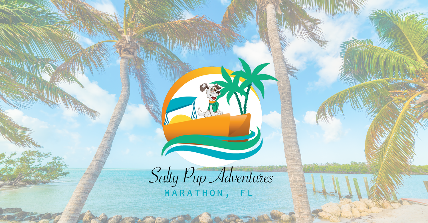 Salty Pup Adventures