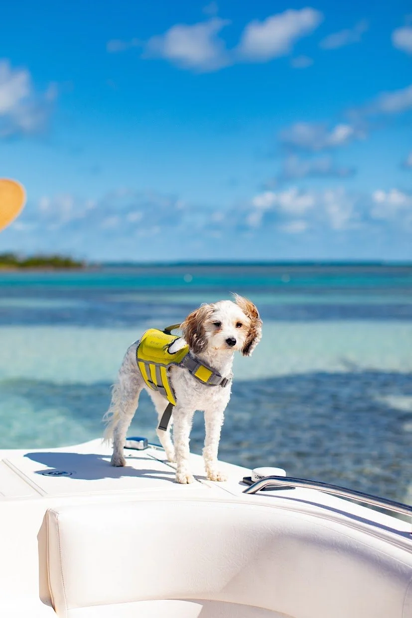 Available Tours — Salty Pup Adventures