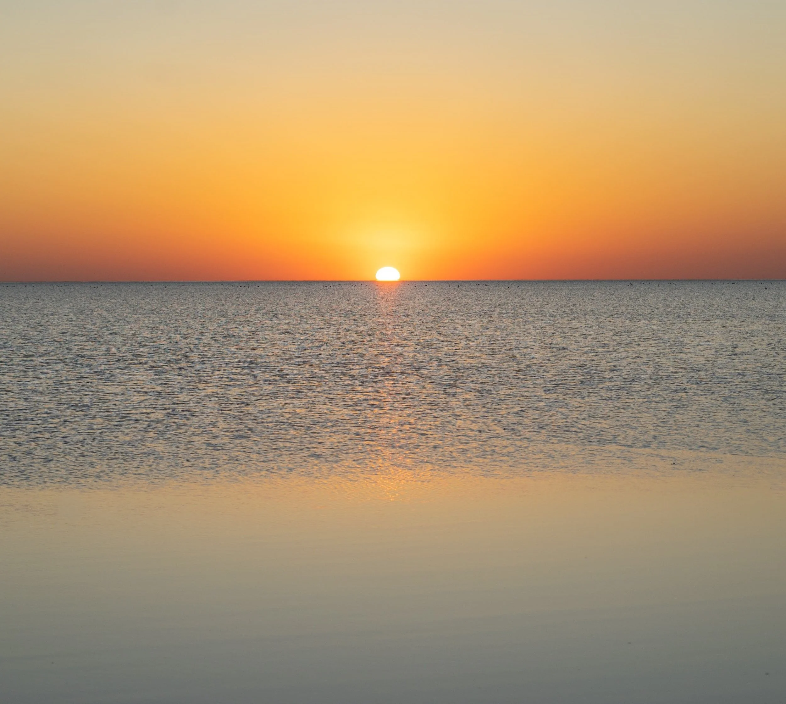 Taproot Yoga Chardon