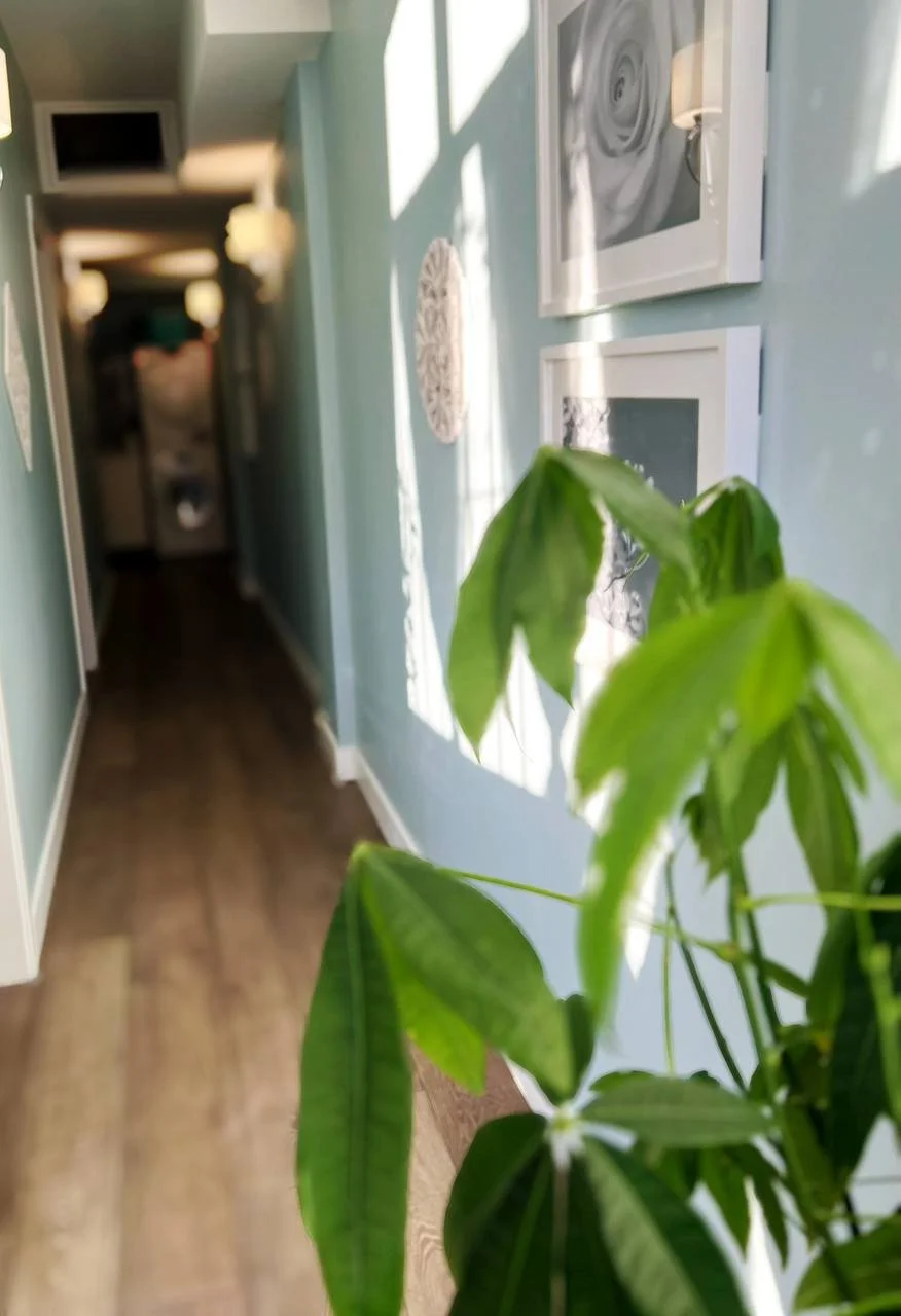 Ultrasound Therapy For Clogged Milk Ducts — Ova Women's Health Clinic