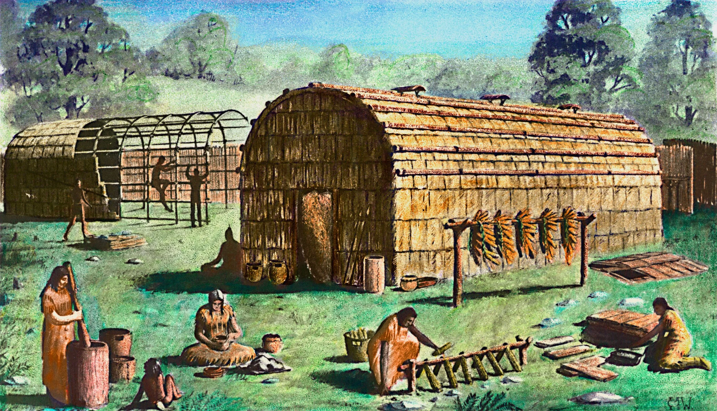 The Longhouse - A Dwelling and Symbol of Cultural and Political ...
