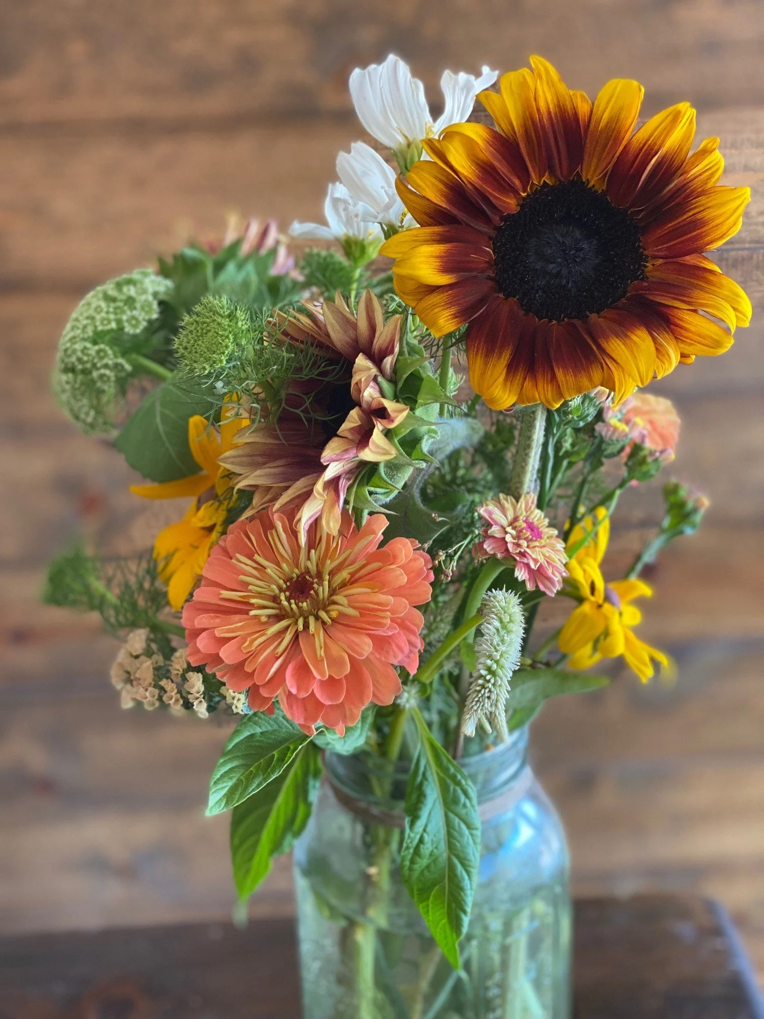 Farm Fresh Cut Flowers — Hidden Acres