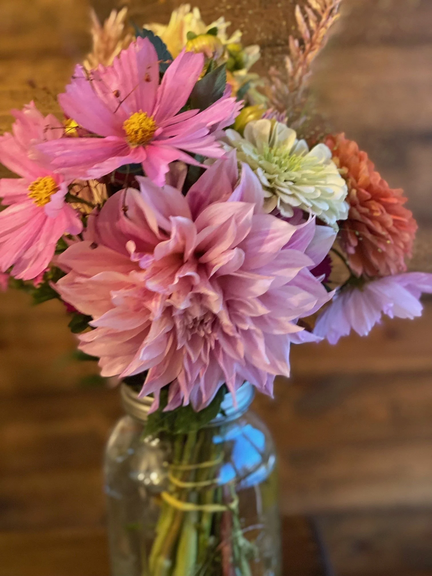 Farm Fresh Cut Flowers — Hidden Acres
