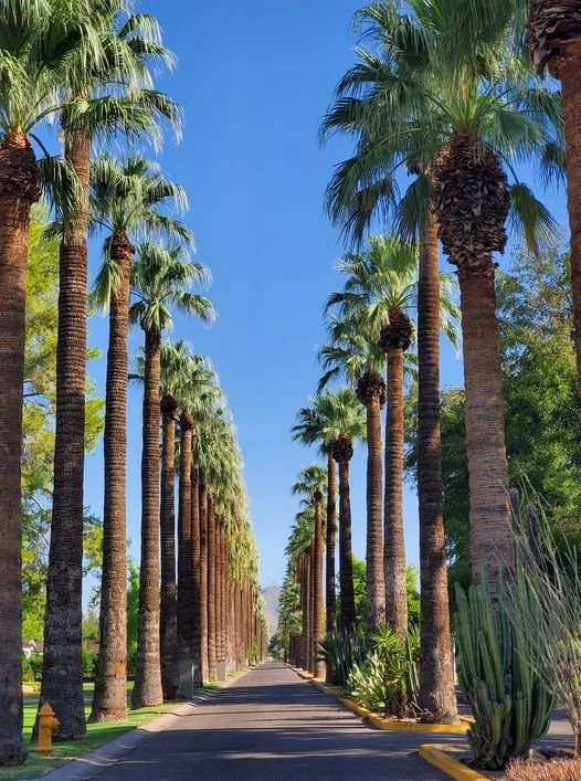 Royal Palm Neighborhood