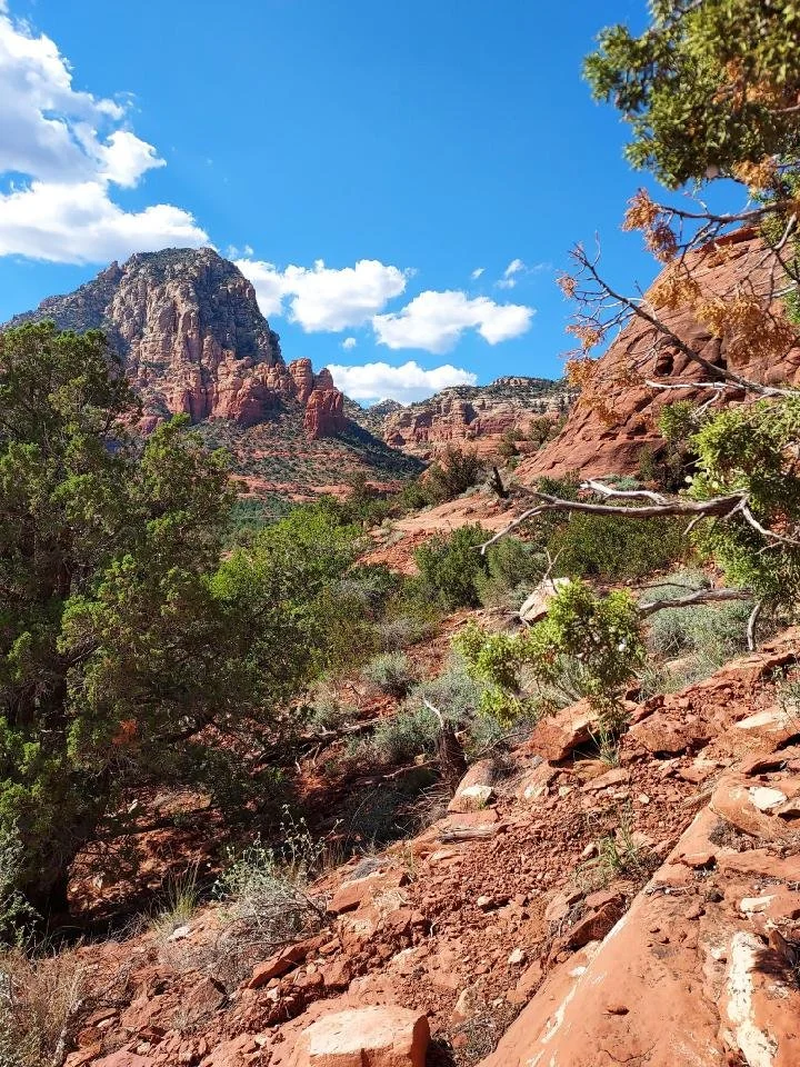 VORTEX ENERGY — Sedona Spectacular Spirit Journeys & Vortex Tours
