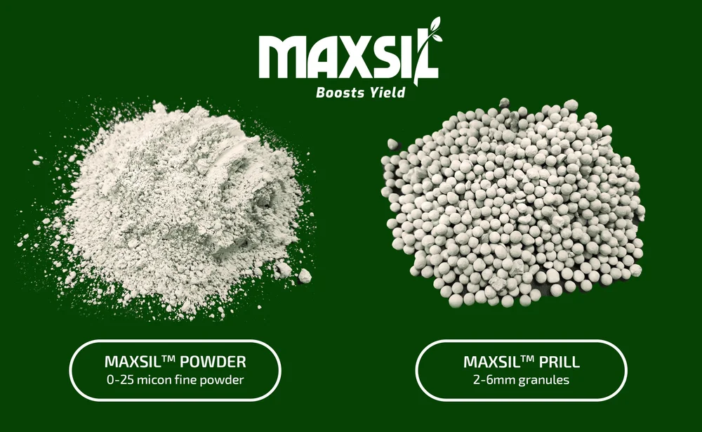 Resources — Maxsil Silicon Fertiliser - Boosts Yield