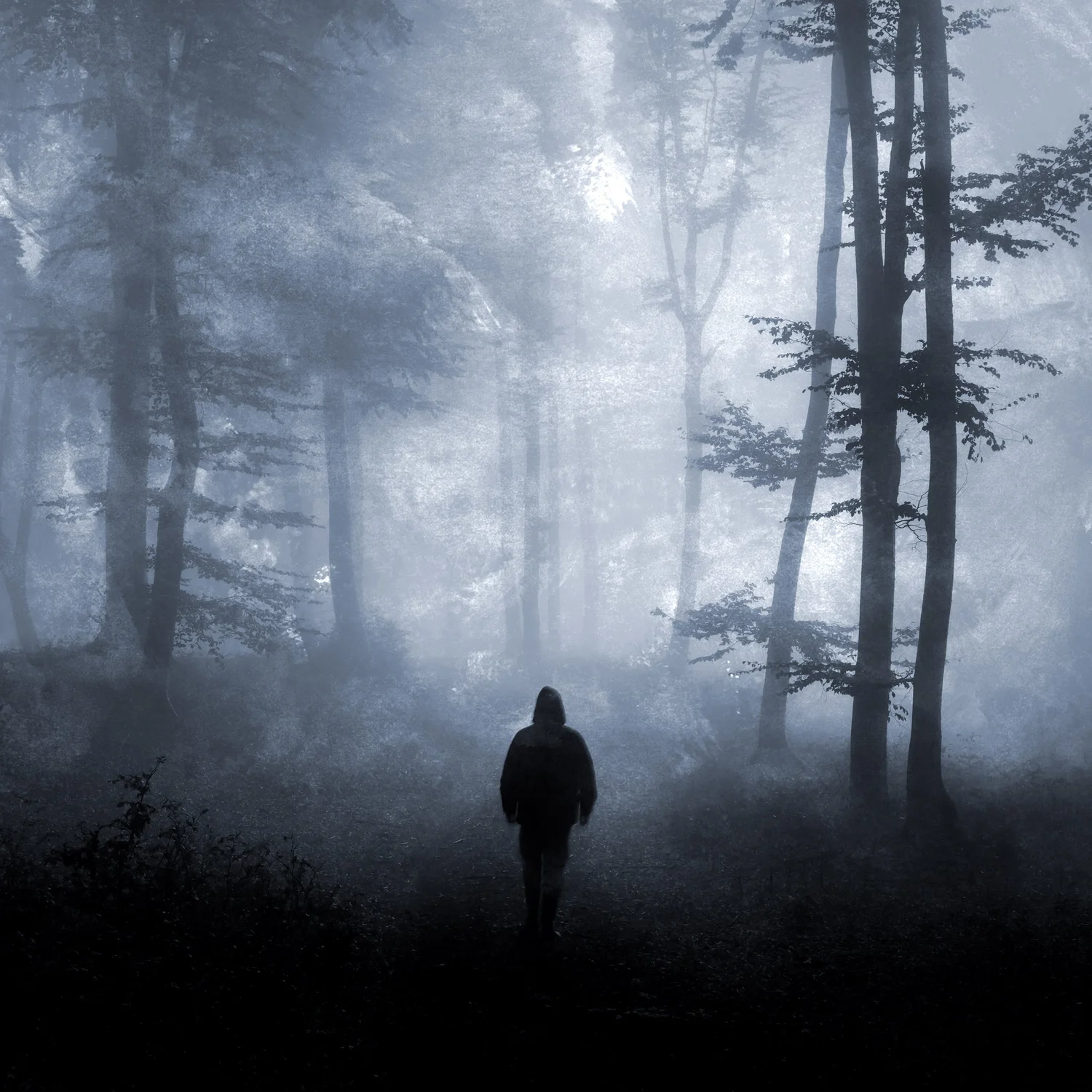 Invisible Choir™ - Investigative True Crime Storytelling