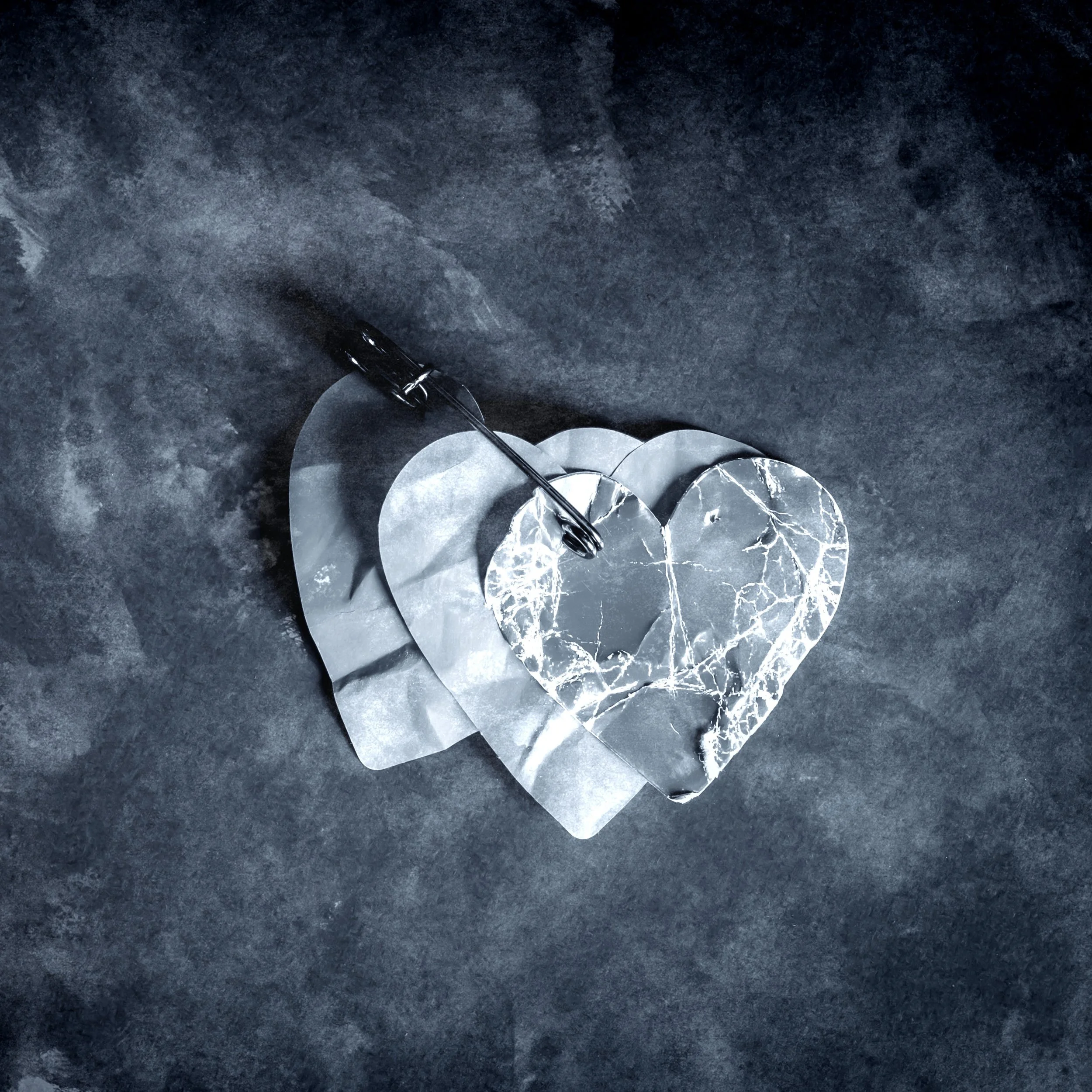 Ashley Bocanegra Fight: Lessons Learned - CelebSphere