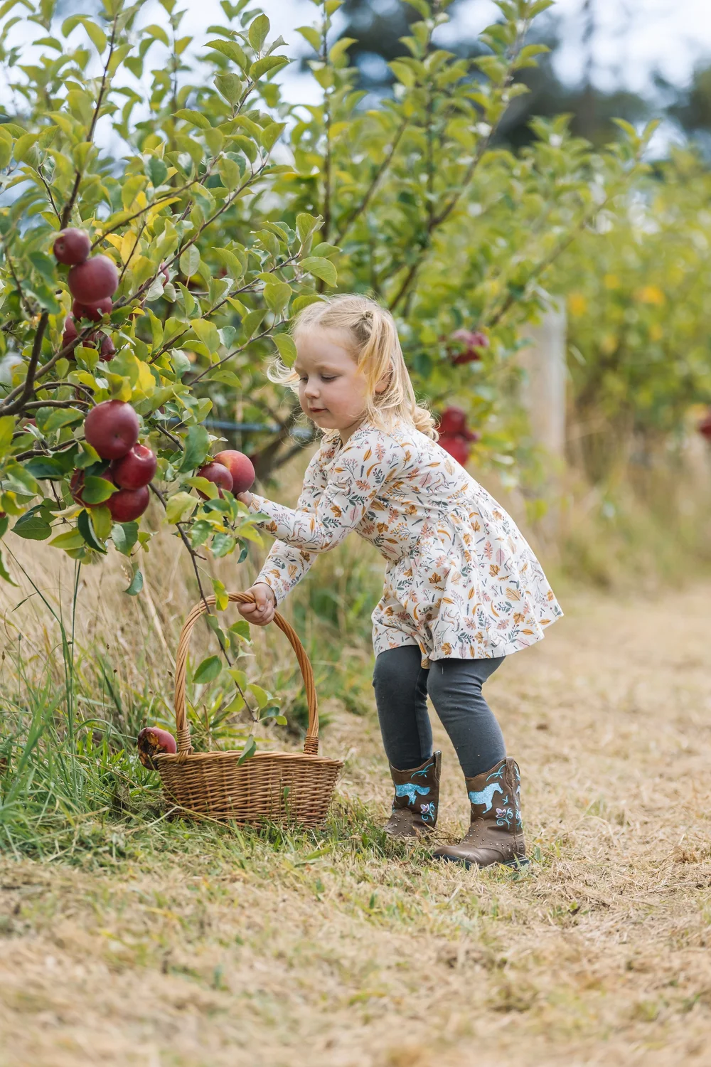 West Gippsland Progress Association (WGPA)