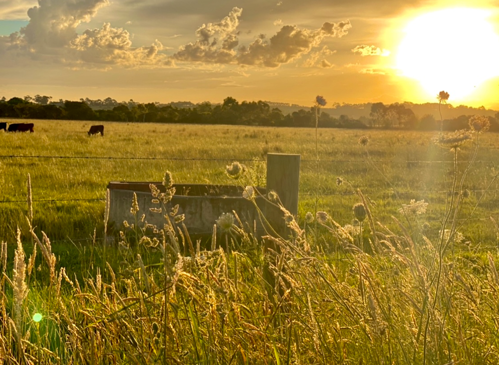 West Gippsland Progress Association (WGPA)