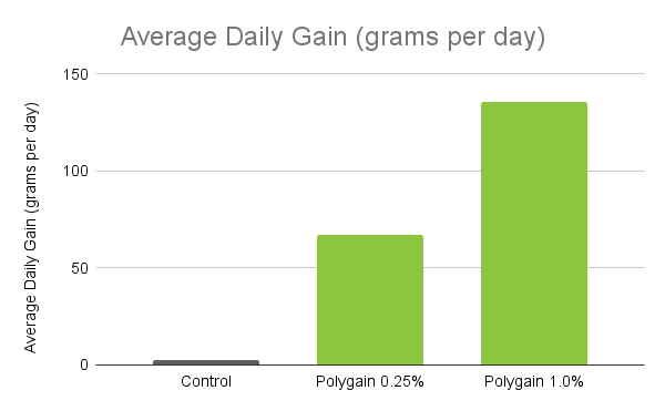 Polygain™ Boosts Lamb Growth and Slashes Methane Emissions — Polygain ...