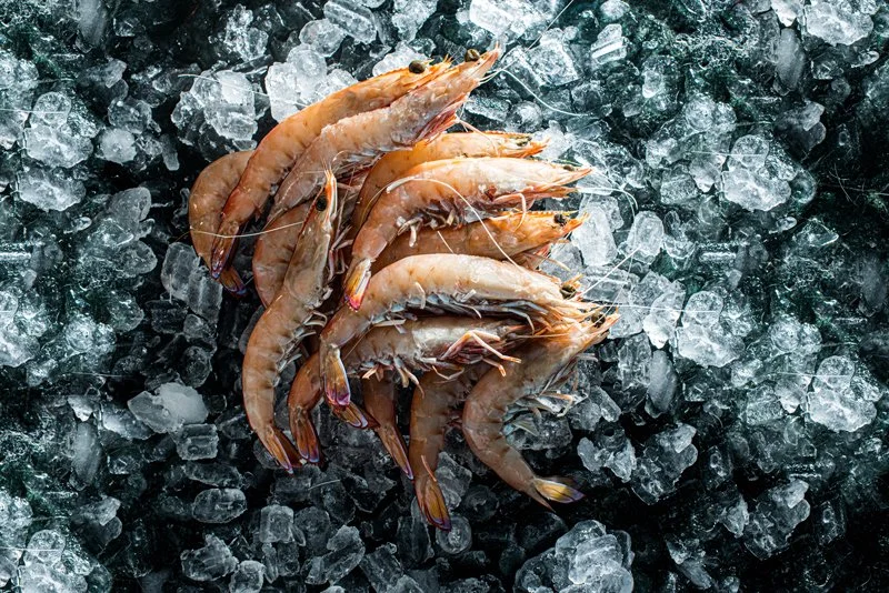 Eastern School Prawns — Victorian Seafood | See the places. Meet the ...
