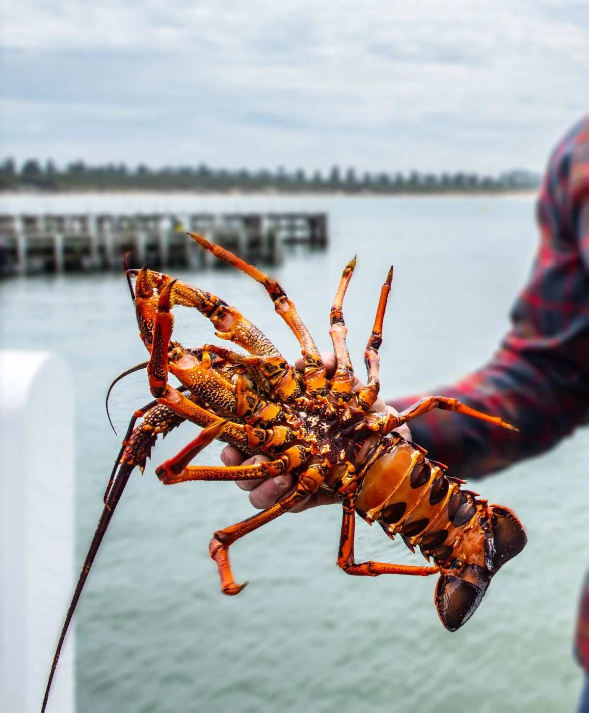 Victorian Seafood | See the places. Meet the people. Taste the difference.