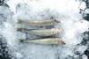 King George Whiting — Victorian Seafood | See the places. Meet the ...