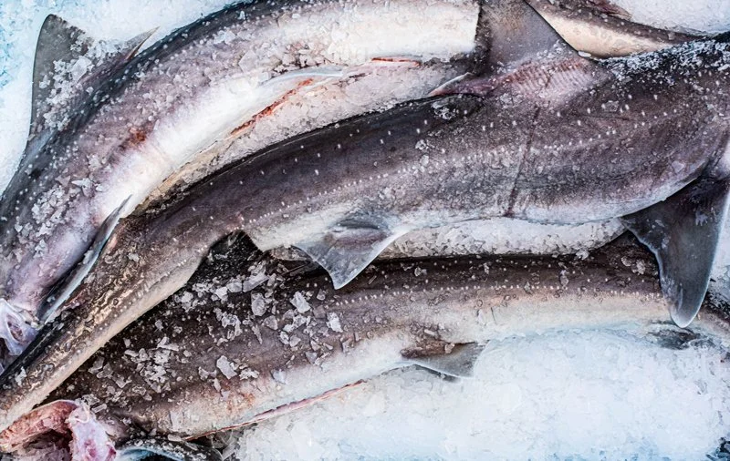 Gummy Shark — Victorian Seafood | See the places. Meet the people ...