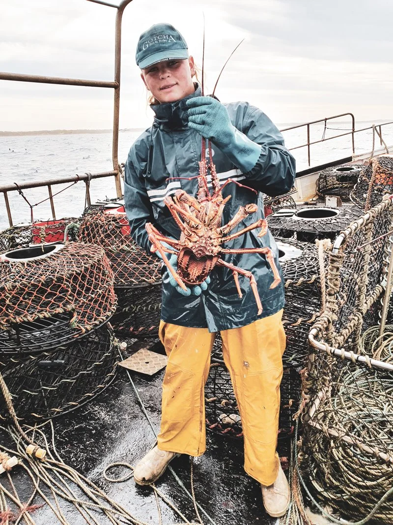 Southern Rock Lobster — Victorian Seafood | See the places. Meet the ...