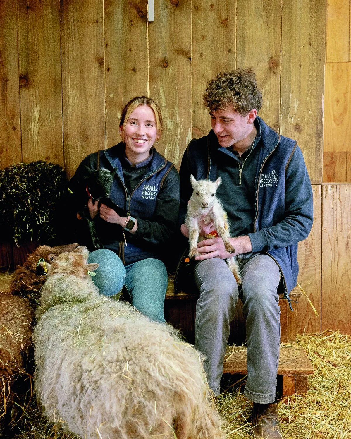 Small Breeds Farm Park — Cariads Local – We publish Wye Local, Local ...