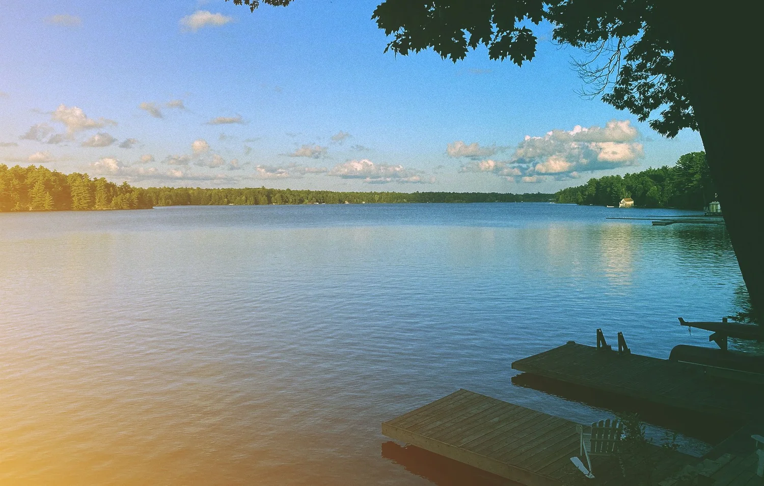 Our Home, Muskoka — Tall Pines Music & Arts Festival