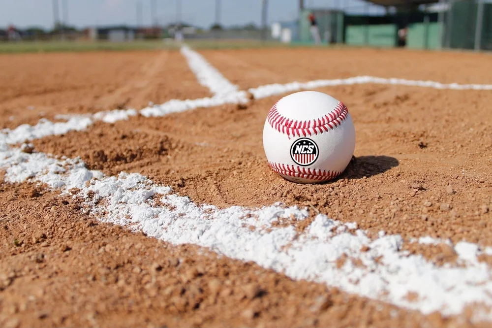 Travel Sports Baseball