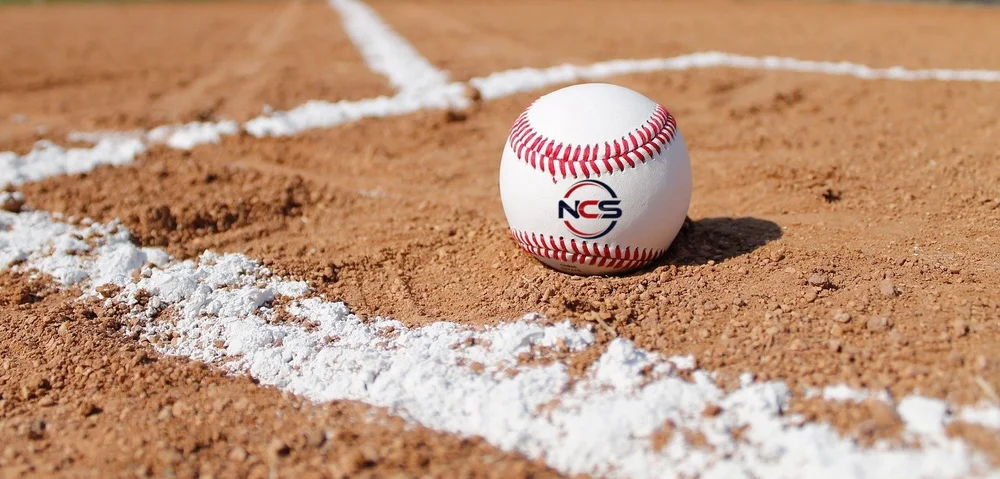 Travel Sports Baseball