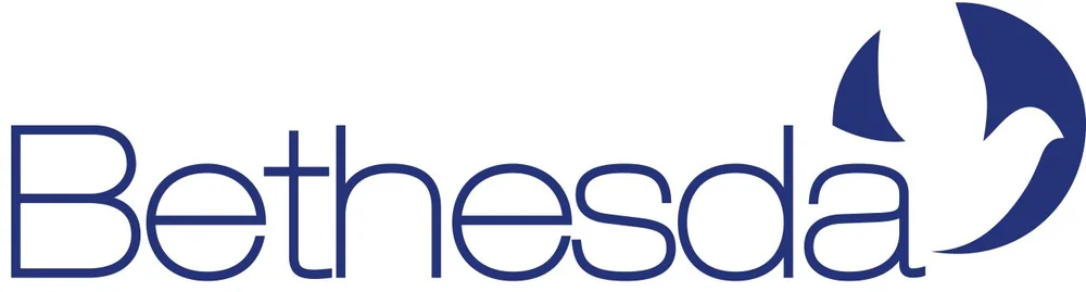Adult Clinical Services | Information Guide 2024-2025 — Bethesda Services
