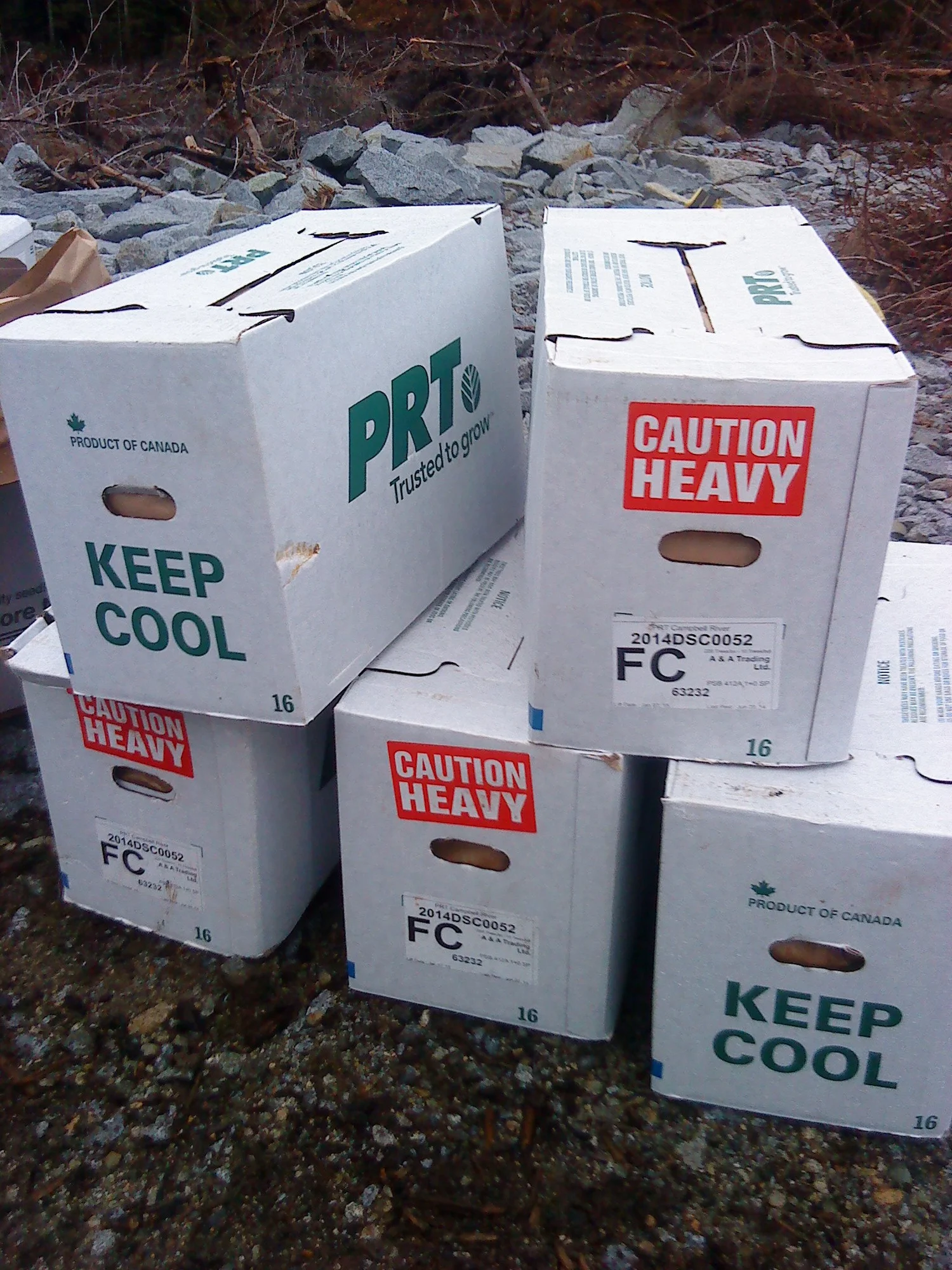 Waste Reduction Strategies in Planting — Leader Silviculture Ltd.