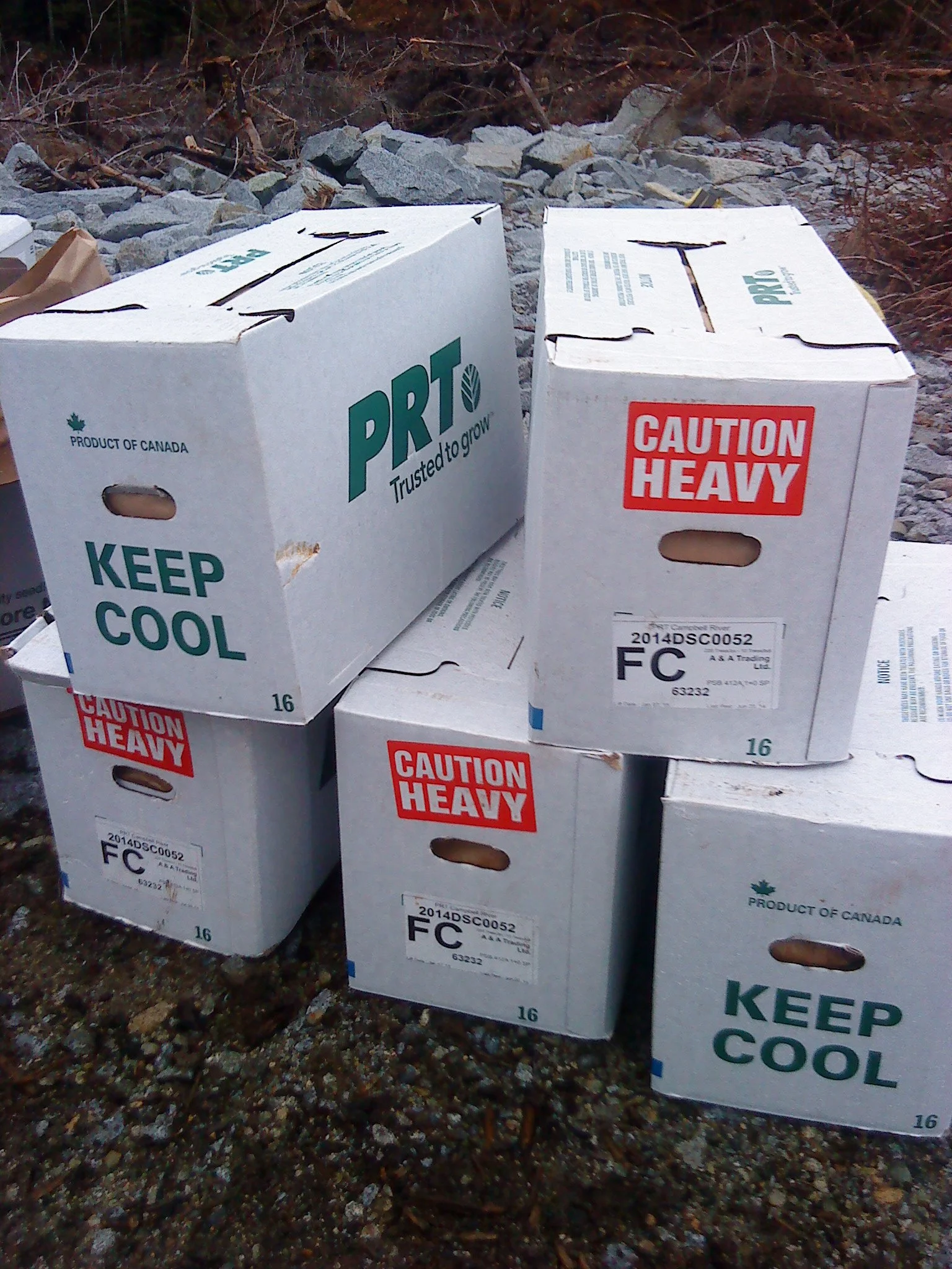 Waste Reduction Strategies in Planting — Leader Silviculture Ltd.