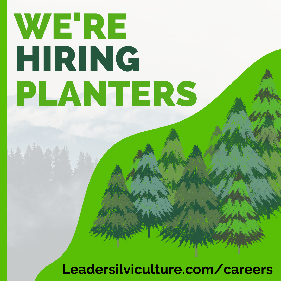 Tree Planters: 2026 Season — Leader Silviculture Ltd.
