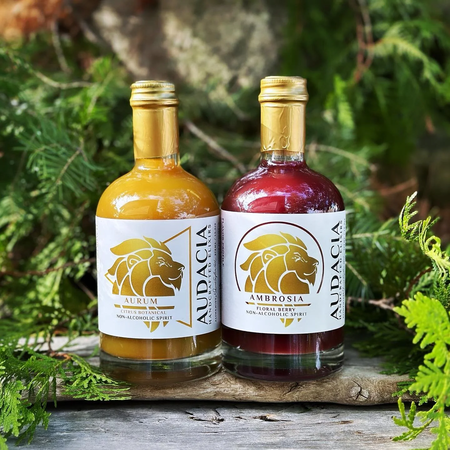 Contact Us — AUDACIA