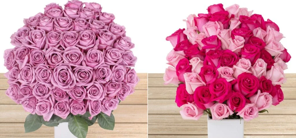 Costco Roses Deal — SavingsMania