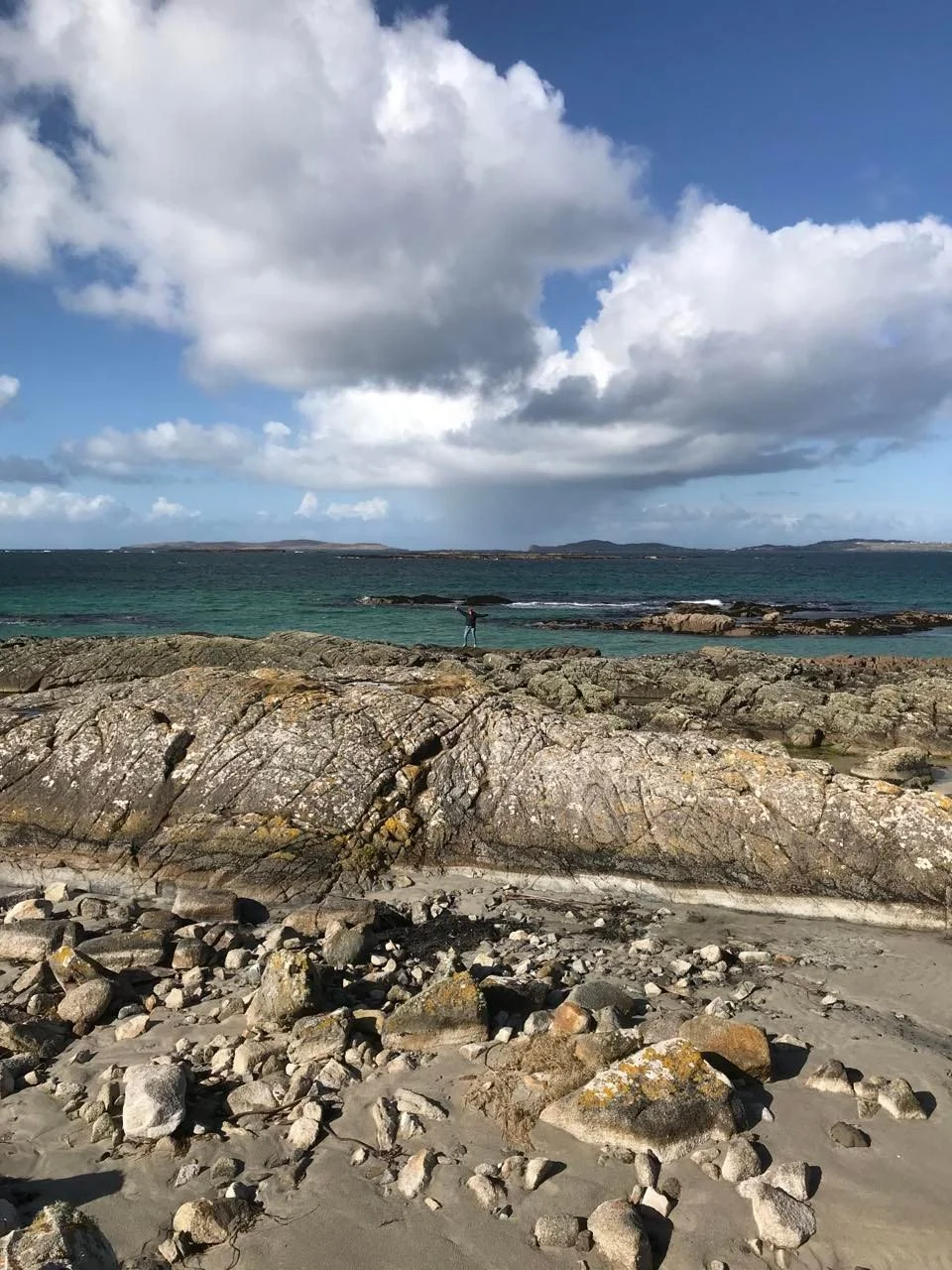 Local Resources — The Harbor Recovery Center