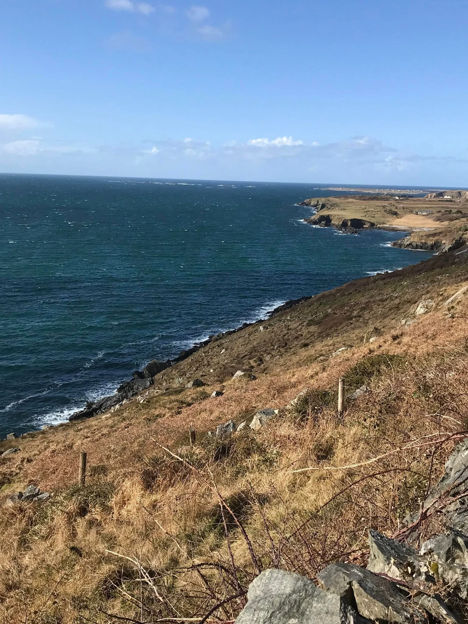 Events — The Harbor Recovery Center