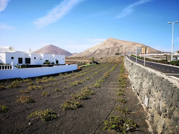 Lanzarote Gravel Camps — Sisters in the Wild