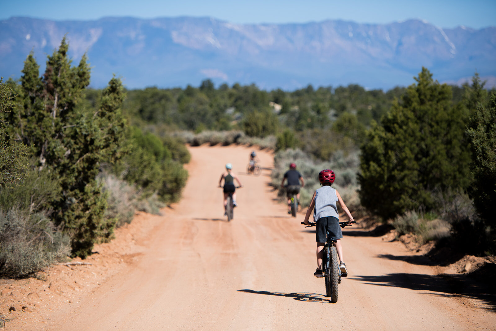 The Best Bikes for Every Zion Adventure — ZION CYCLES