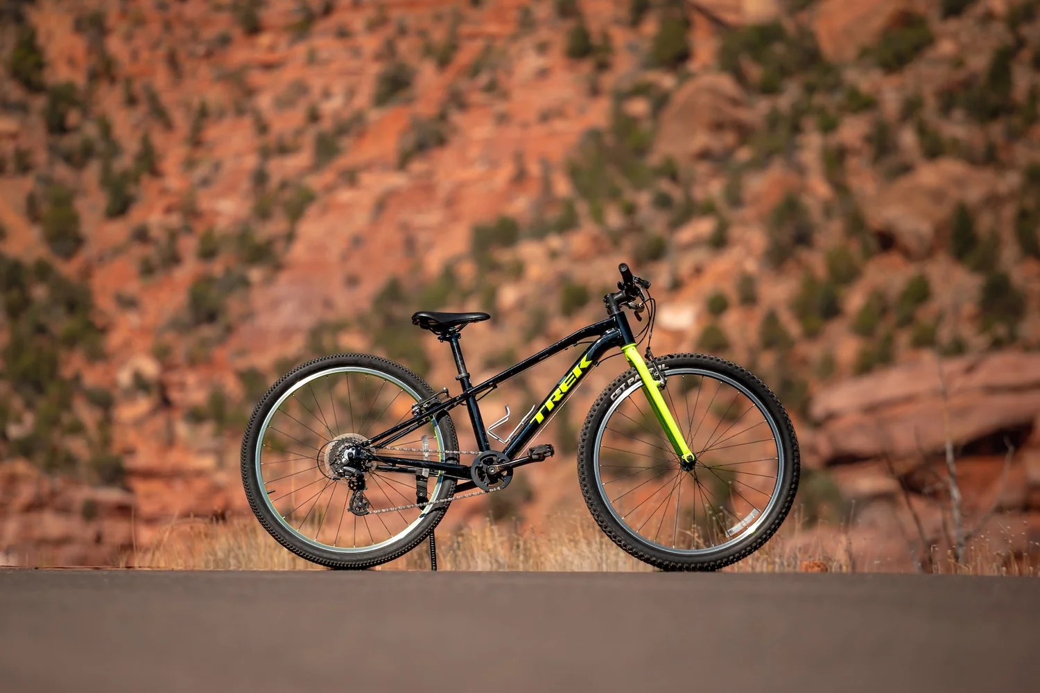 All Bike Rentals - Biking in Zion — ZION CYCLES