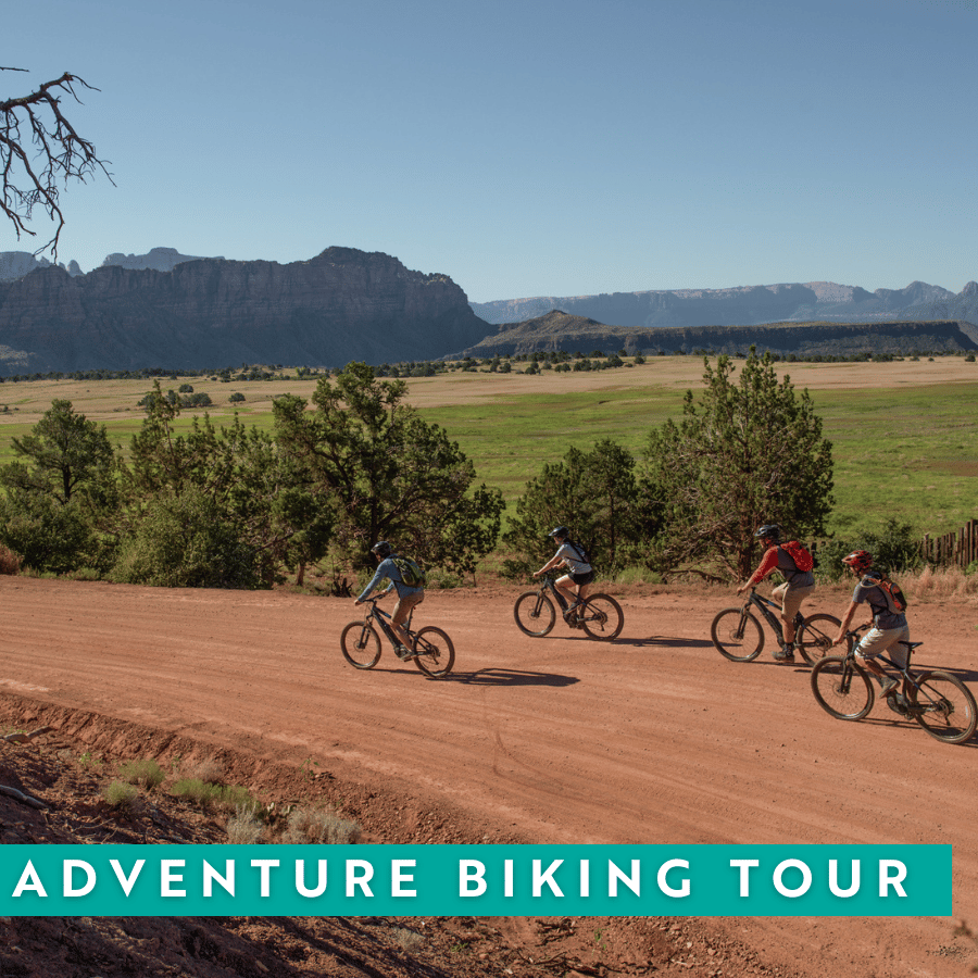 ZION CYCLES - Bike Shop, Rentals, Guides