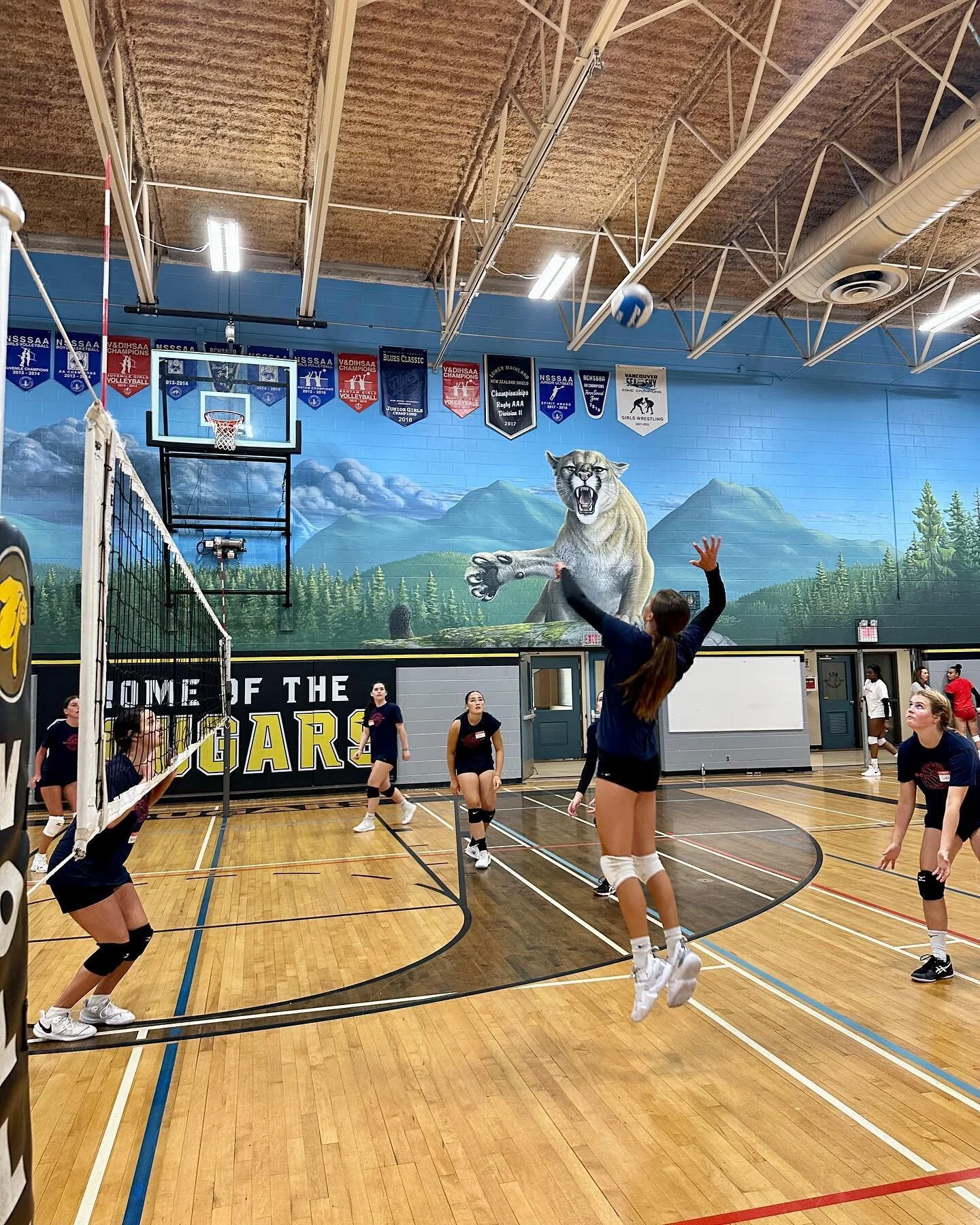 SUNSHINE COAST VOLLEYBALL CLUB