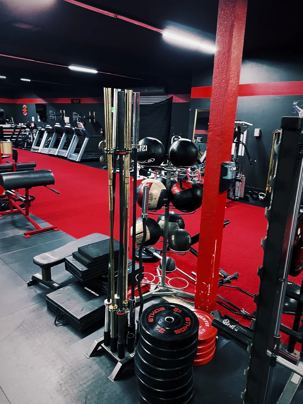 About — Thunder Fitness