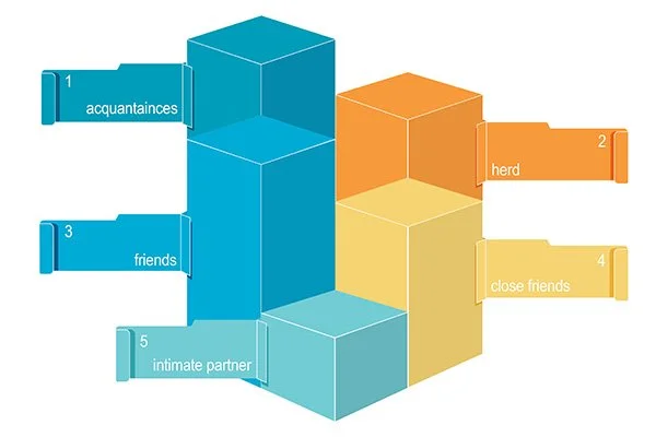 The Levels of Relationships: Navigating Access & Investment — Insights ...