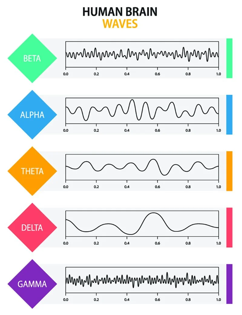 What Can You Learn From A Neurofeedback qEEG Brain Map? — Insights ...