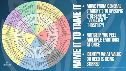 Name It to Tame It — Why Emotion Vocabulary Heals — Insights Counseling ...