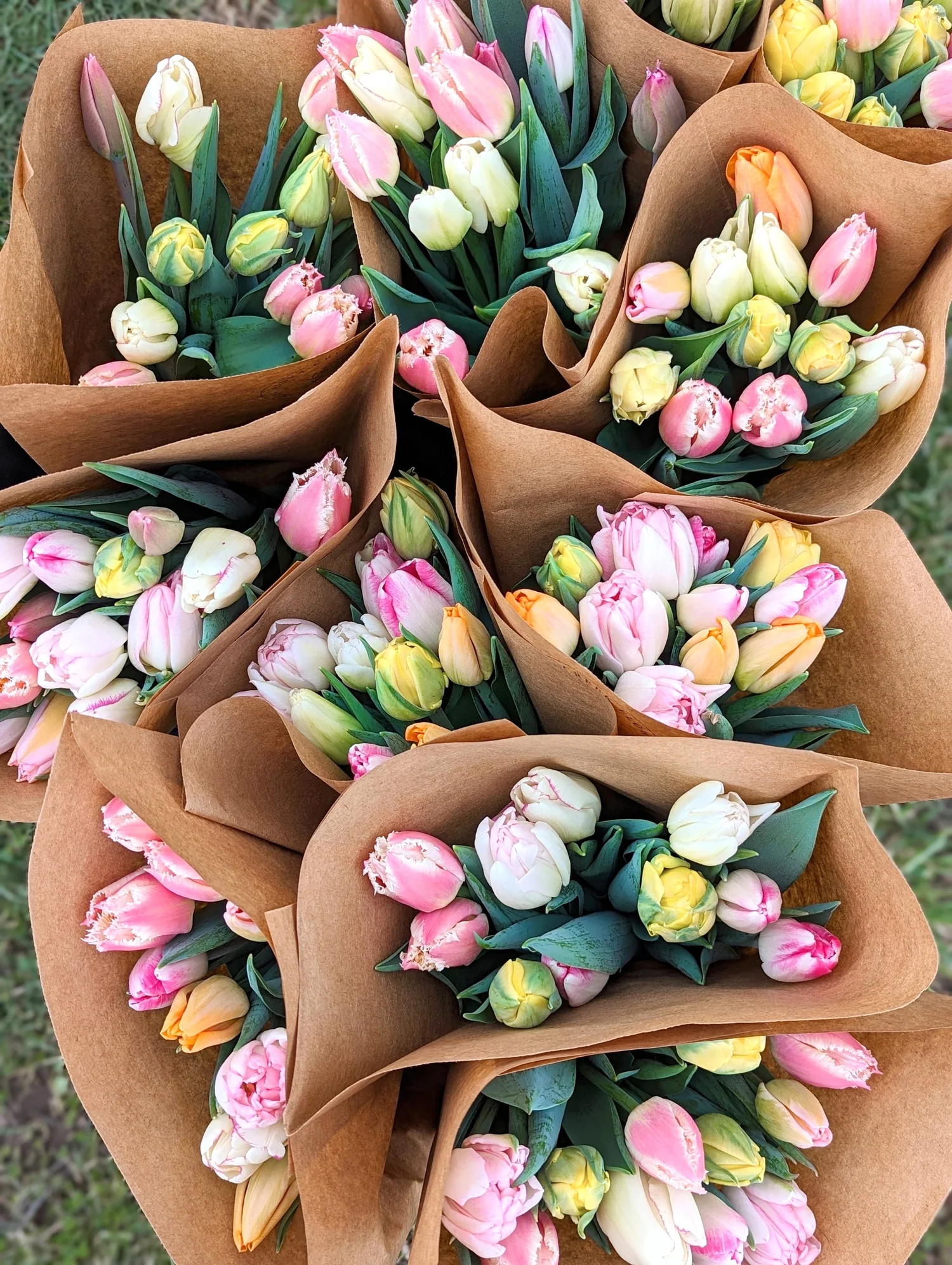 Jenny Creek Flowers - Bouquets, Flower Workshops, & Dahlia Tubers near ...