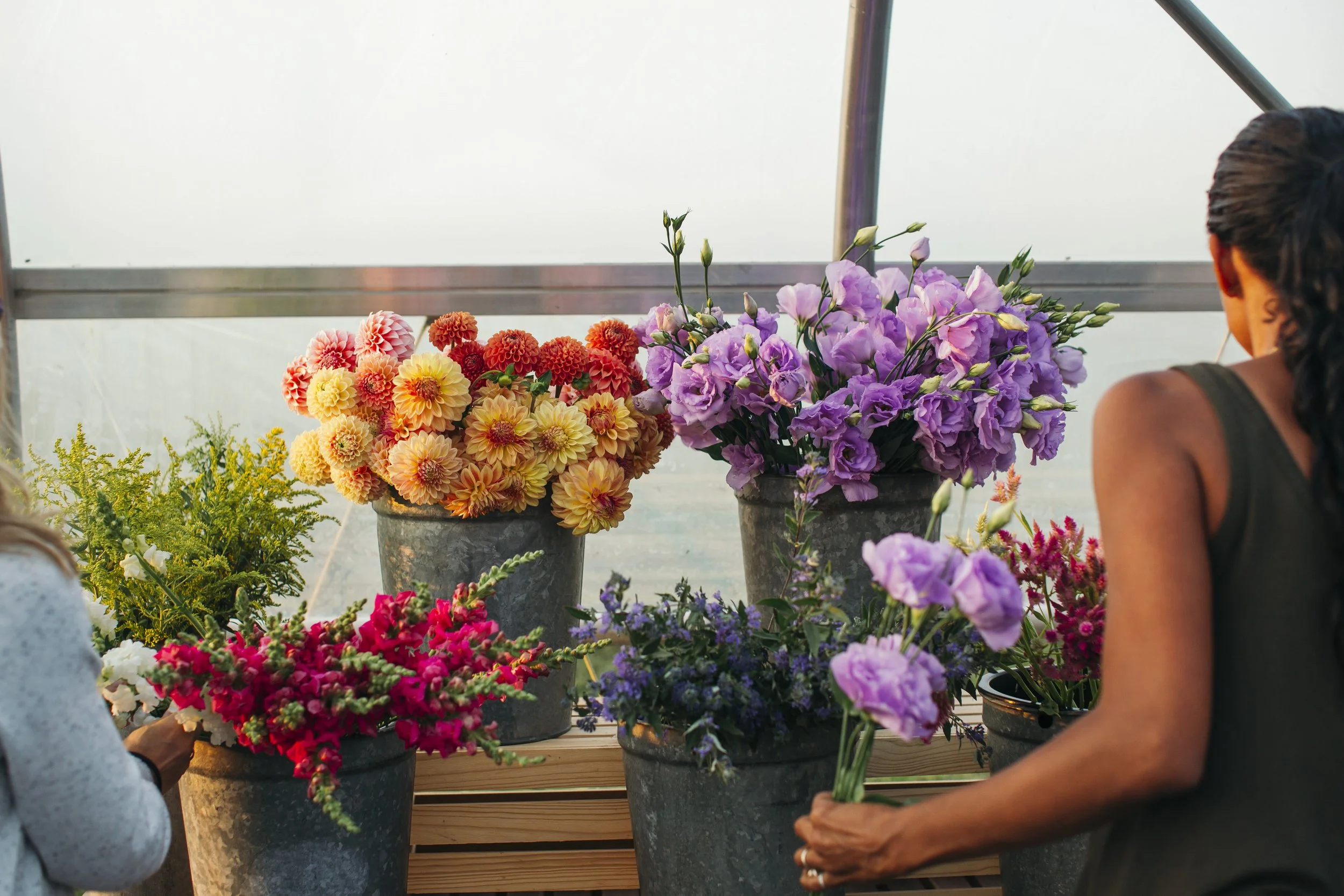 Jenny Creek Flowers - Bouquets, Flower Workshops, & Dahlia Tubers near ...