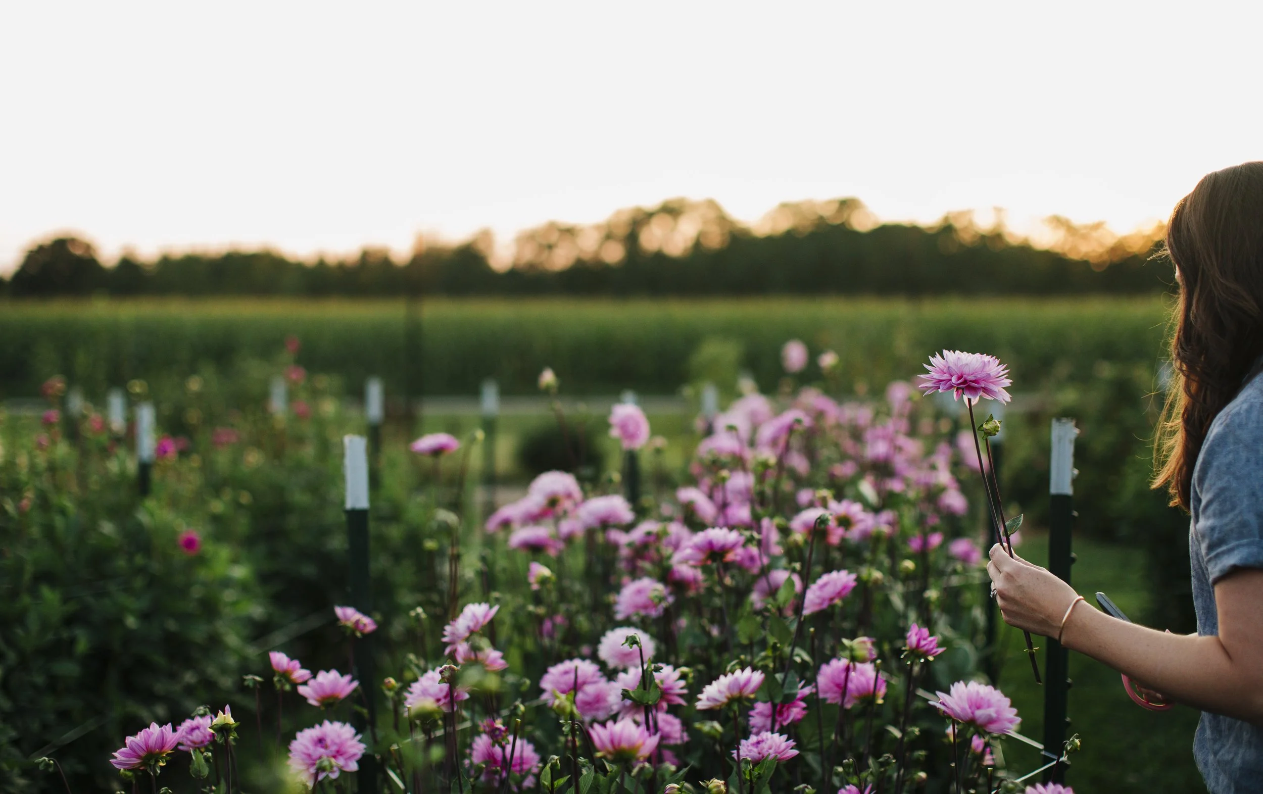 Jenny Creek Flowers | Bouquets, Workshops & U-Pick near Ithaca